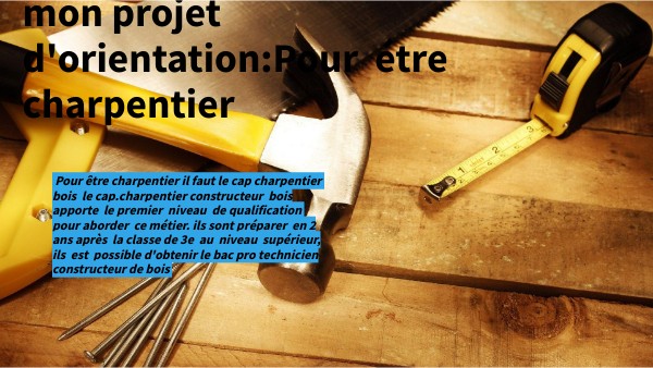Projet d'orientation | Genially