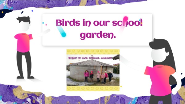 Birds in our school garden