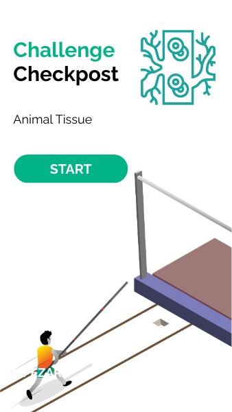 Quiz_2_Tissues_Animal_Tissue