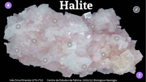 Halite | Genially