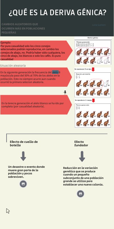 ¿Qué es la deriva génica?