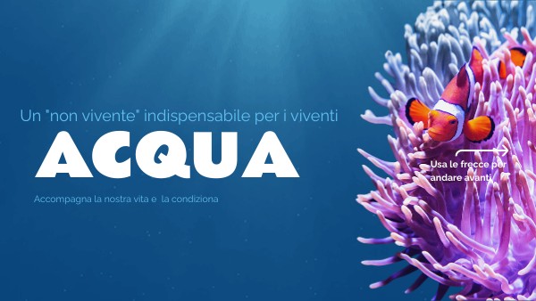 ACQUA