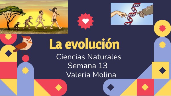 La evolución