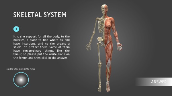 Skeletal System | Genially