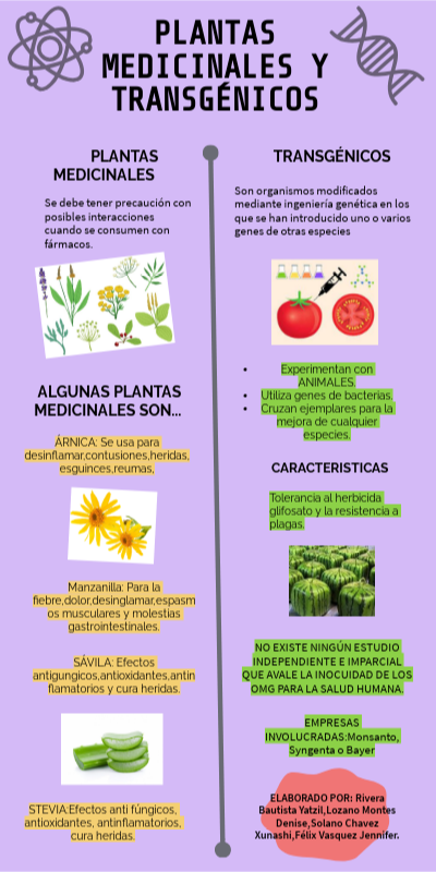 Plantas medicinales y transgenicos | Genially