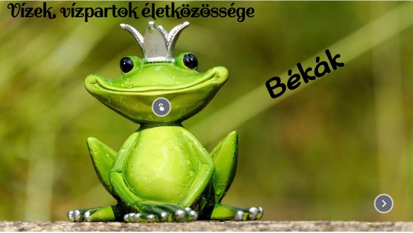 Békák