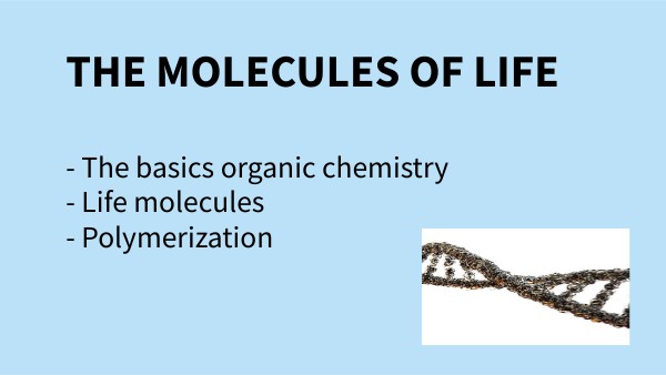 The molecules of life | Genially