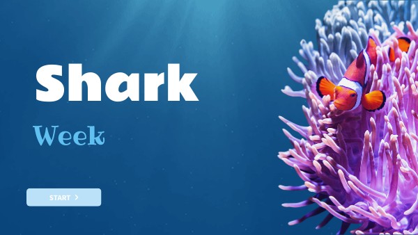 Shark Week | Genially