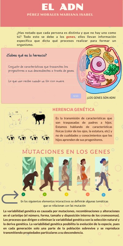 Infografía ADN | Genially