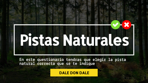 Pistas