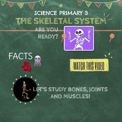 SCIENCE PRIMARY 3 THE SKELETAL SYSTEM | Genially