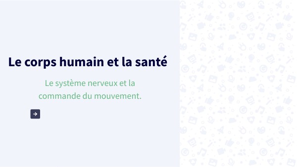 4ème - Système nerveux