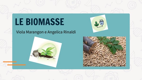 LE BIOMASSE