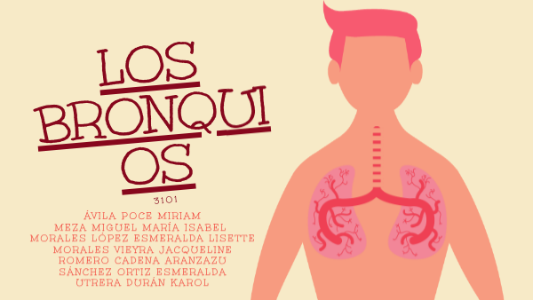 Bronquios