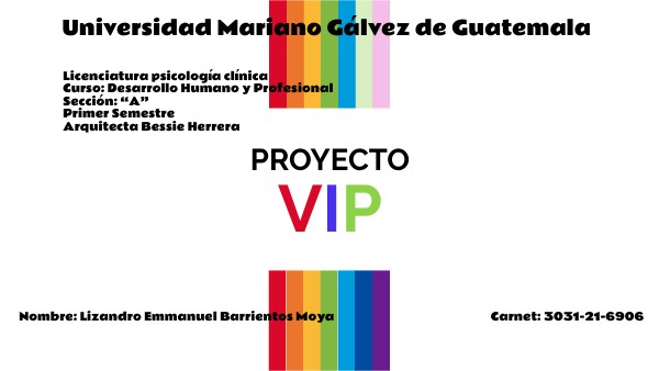 Proyecto VIP