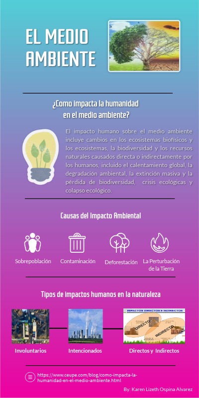 INFOGRAFIA - PRAE | Genially
