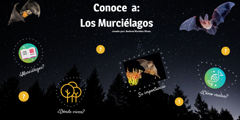 Conoce a Los Murciélagos | Genially