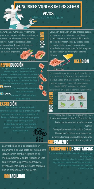 funciones vitales de los seres vivos | Genially