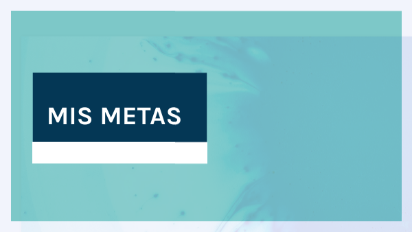 MIS METAS DE MI PROYECTO DE VIDA