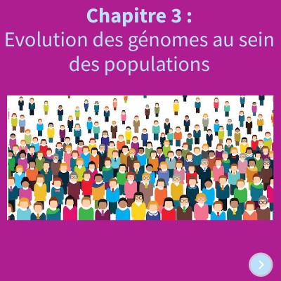 term SPE Evolution des génomes | Genially