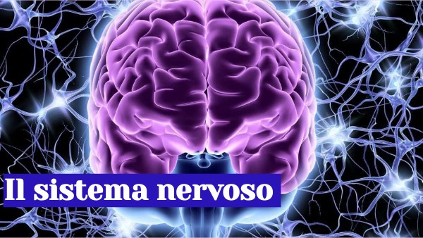 SISTEMA NERVOSO | Genially
