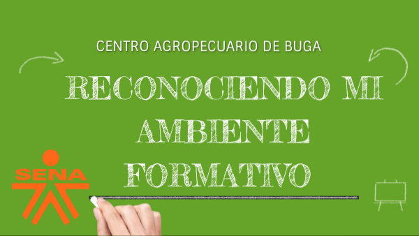 Reconociendo mi ambiente formativo Angie Pinto