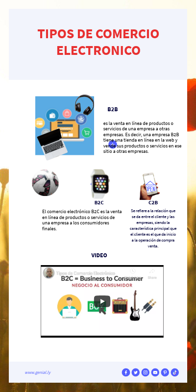 TIPOS DE COMERCIO ELECTRONICO