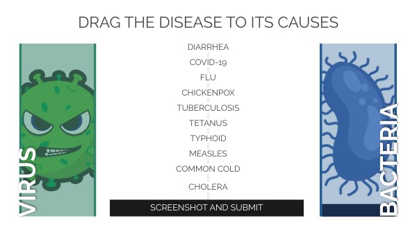 SORTING OUT THE DISEASES | Genially