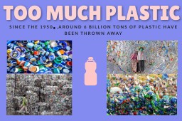 TOO MUCH PLASTIC