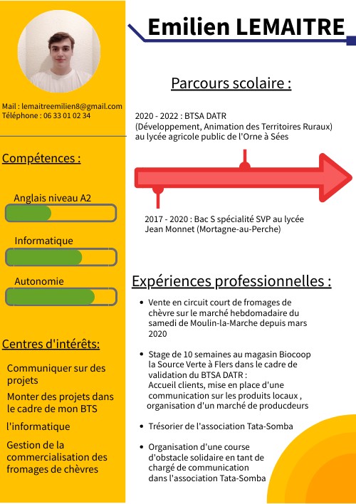 Copie - LEMAITRE Emilien - CV | Genially