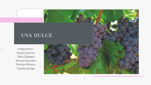 Uva Dulce | Genially