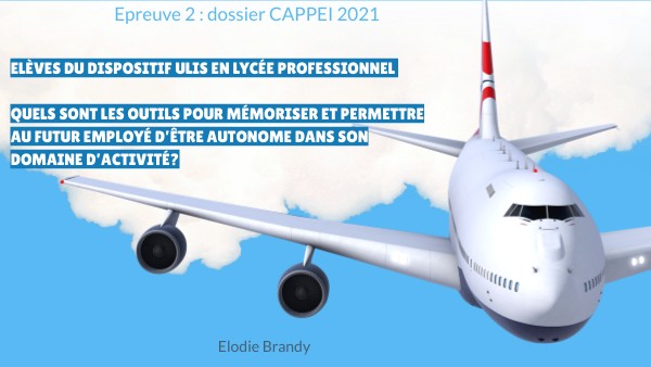 Dossier épreuve 2 CAPPEI | Genially