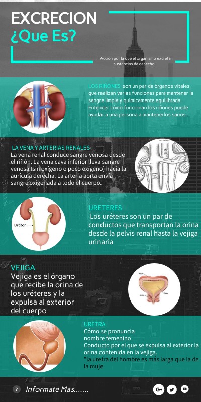 Infografía Santiago De La Sota Anthony Engels | Genially