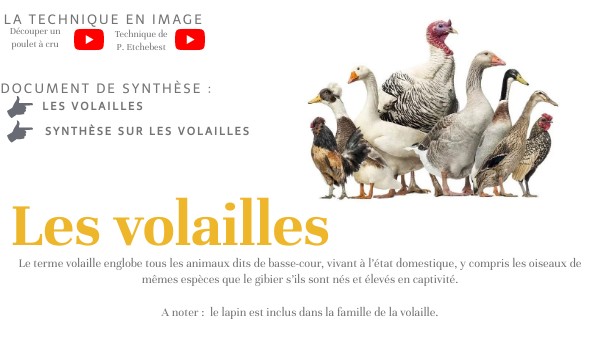 AT : Les volaille en cuisine