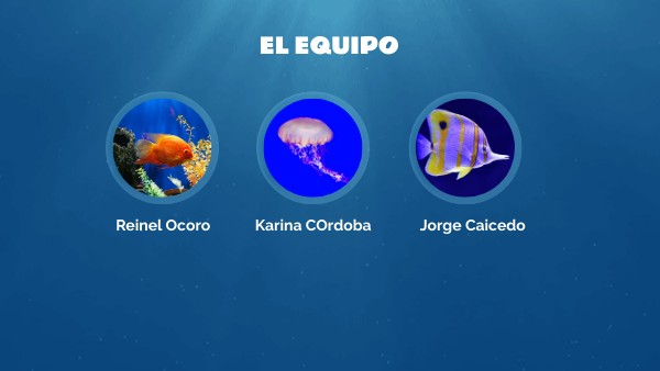 Region Atlántica y del Caribe.