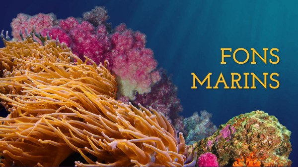 fons marins | Genially