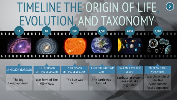 Timeline - Learning Evidence | Genially