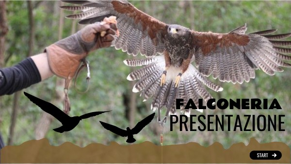 FALCONERIA | Genially