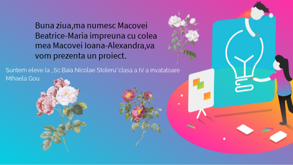 GENIAL VIBRANT PRESENTATION