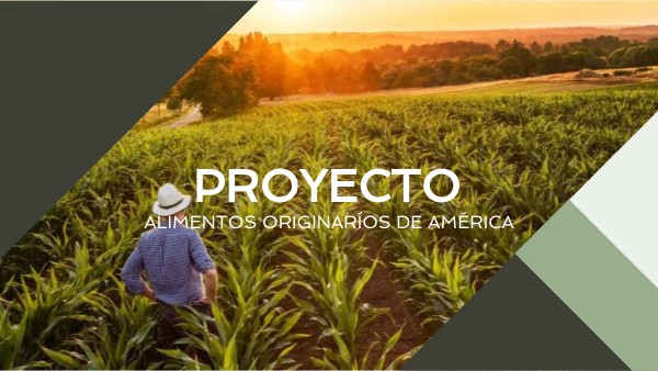 PRESENTACIÓN PROYECTO DIAGONAL