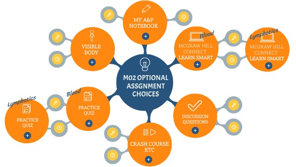 M02 optional assignments