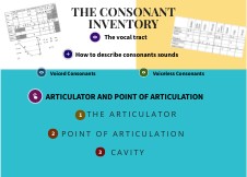 The Consonant Inventory | Genially