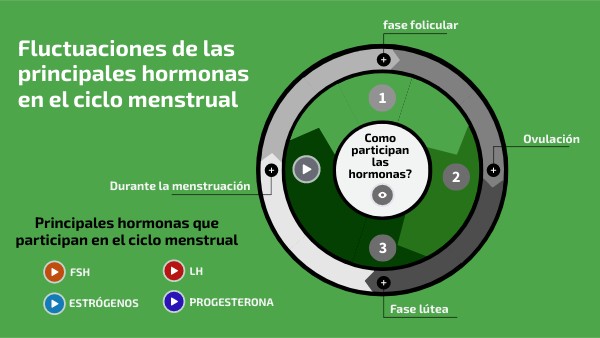 Ciclo menstrual | Genially