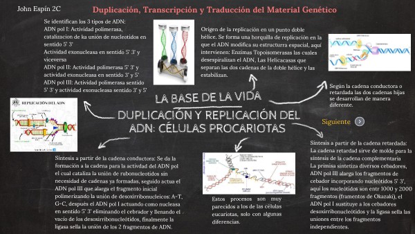 ADN como base de la vida duplicación, transcripción y traducción | Genially