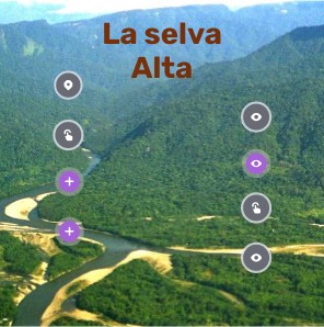 La selva Alta | Genially