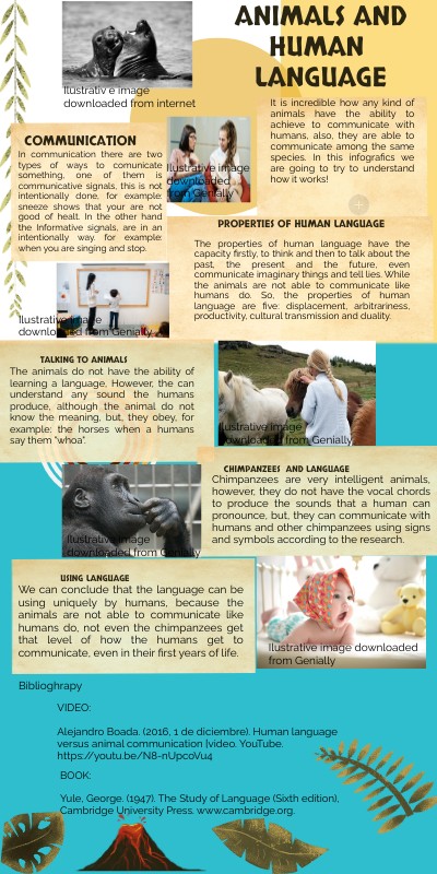 ANIMALS AND HUMAN LANGUAGE