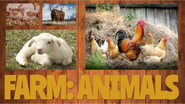 FARM:ANIMALS 15/04/2020