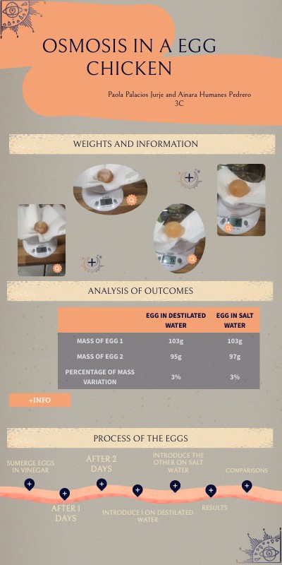 osmosis in an egg chicken