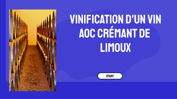 Présentation schéma vinification