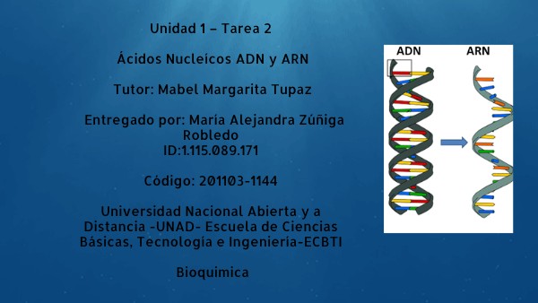 Ácidos Nucleícos ADN y ARN | Genially